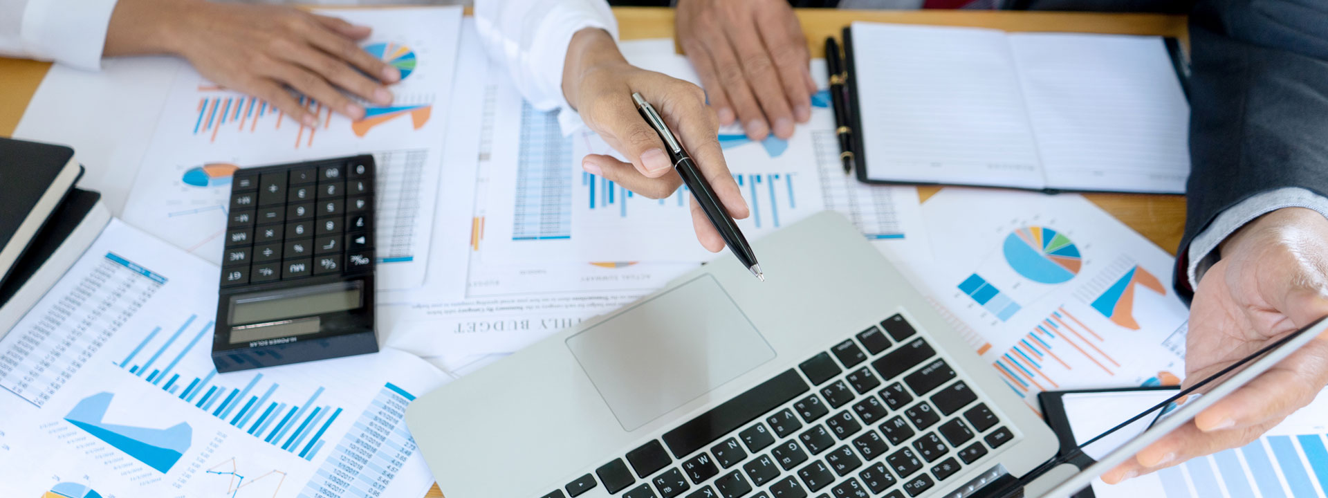 Custom Viz Smartsheet - BlueTide Analytics